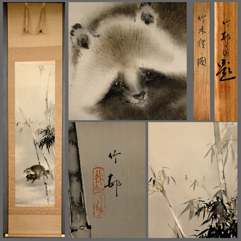 Antique Scroll, Tanuki in Bamboo ー石川 竹邨 "竹林狸図" / Ishikawa Chikuson ...